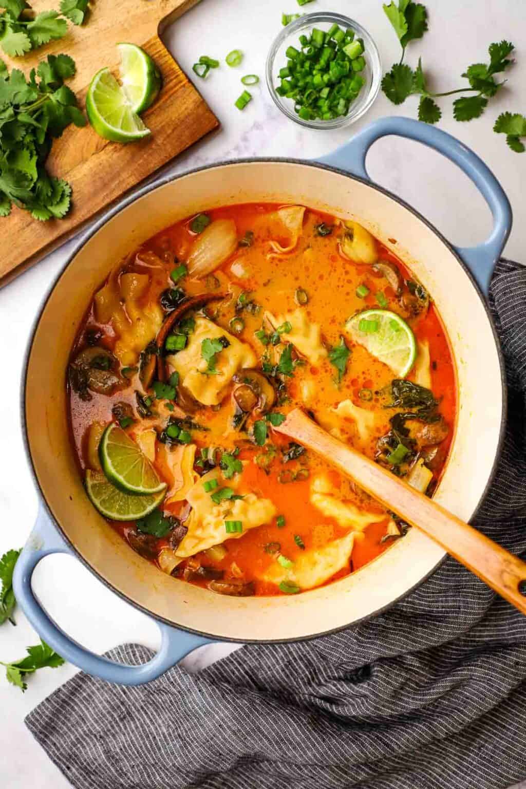 Red Curry Dumpling Soup